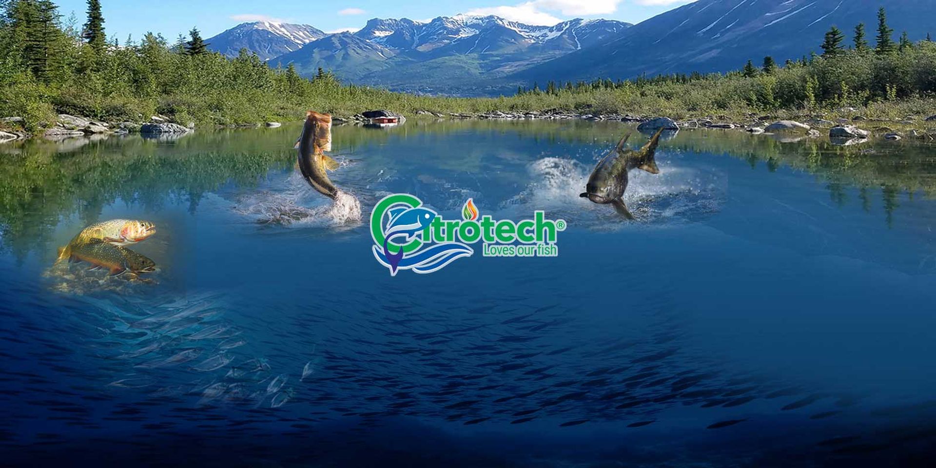 Proactive Wildfire Armor | Fire Protection Service